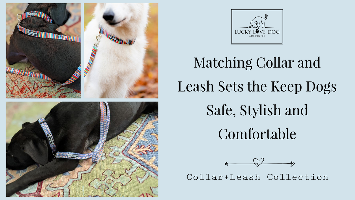 Matching Collar & Leash Sets for Dogs | Lucky Love Dog – LuckyLoveDog