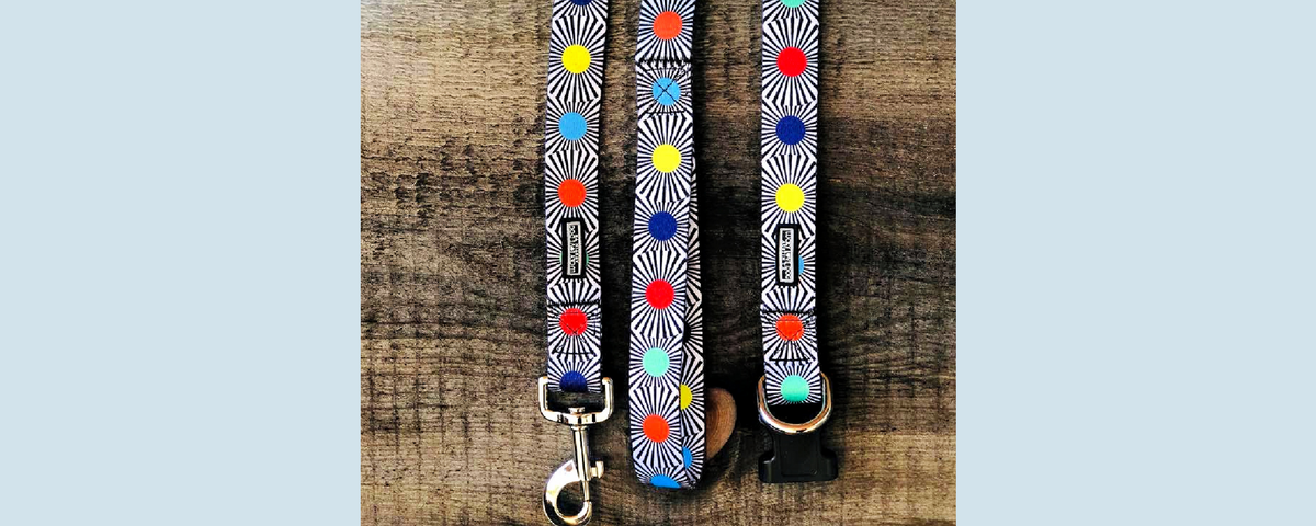 Soco Collars & Leashes | Lucky Love Dog – LuckyLoveDog